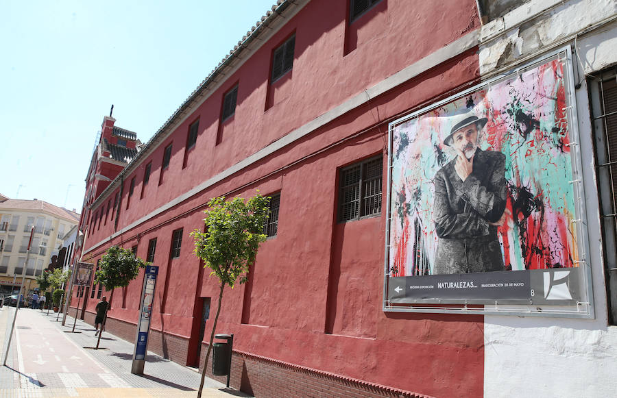 Fotos: 'Naturalezas...', la nueva exposición de Jorge Rando | Diario Sur