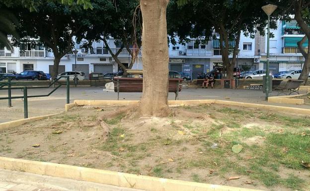 Un parque sucio, con bichos y calvas | Diario Sur