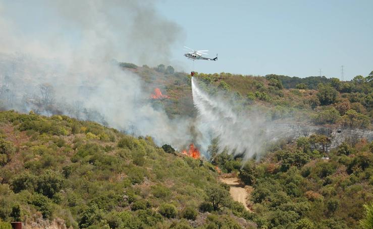 Las fotos más destacadas de la semana | Diario Sur