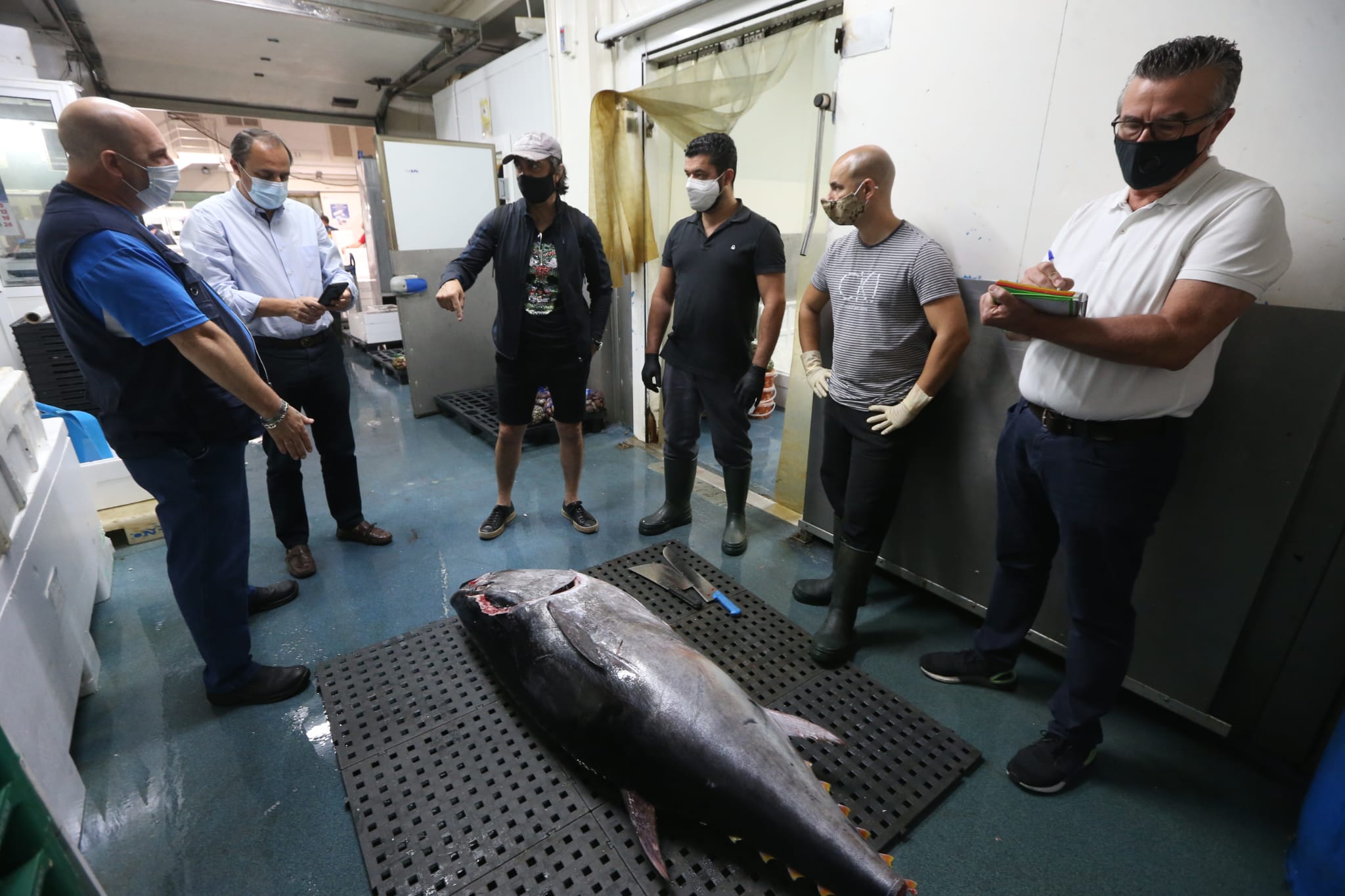 Fotos: Así es el ronqueo del atún rojo en Málaga | Diario Sur