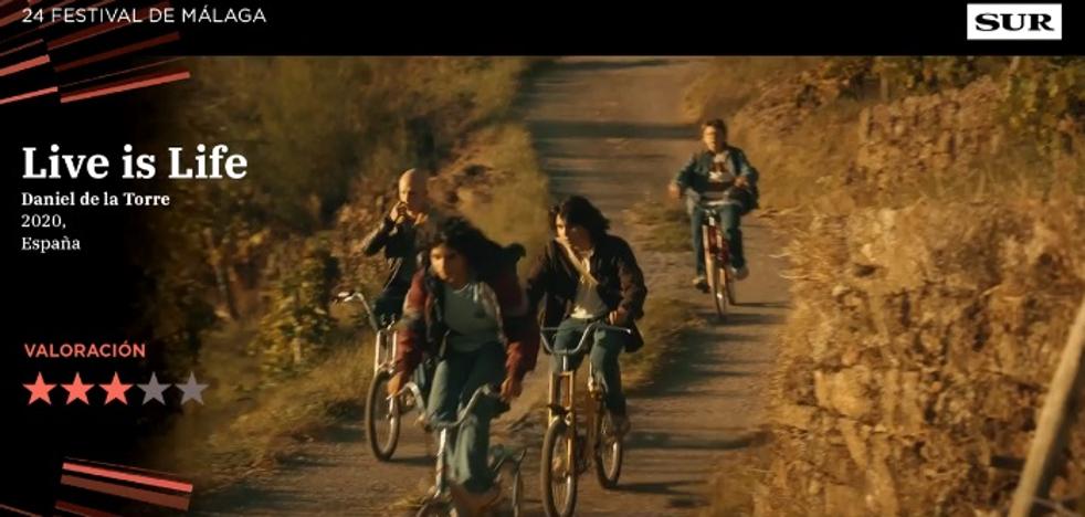 Sección oficial. 24 Festival Málaga: Crítica de la película 'Live is ...